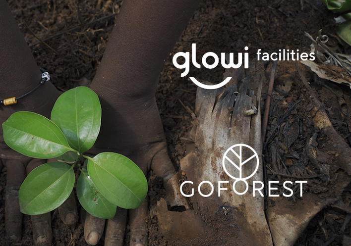 Een duurzame samenwerking tussen Go Forest en Glowi… | Het Poetsbureau